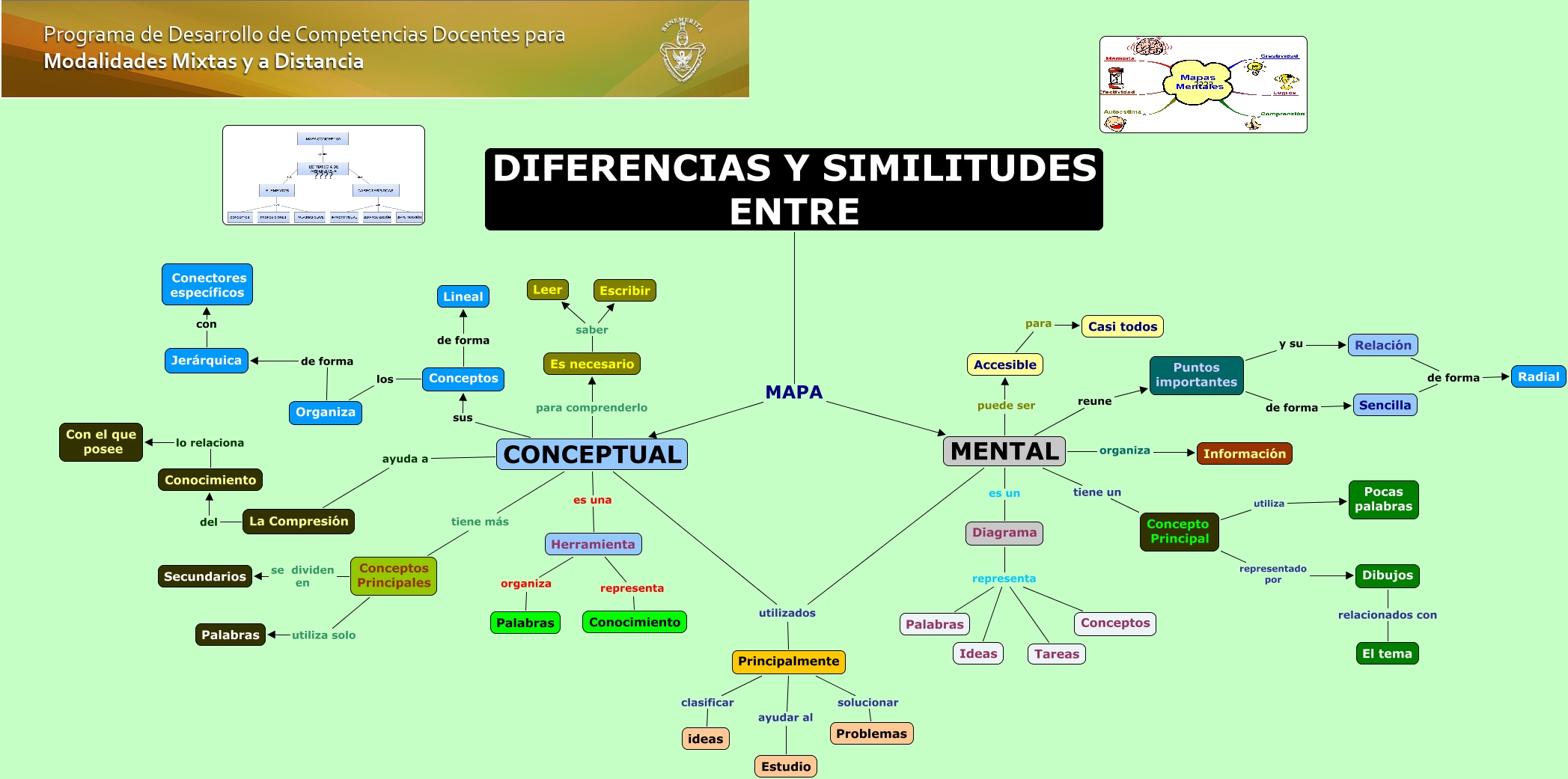 MAPA CONCEPTUAL Y MENTAL